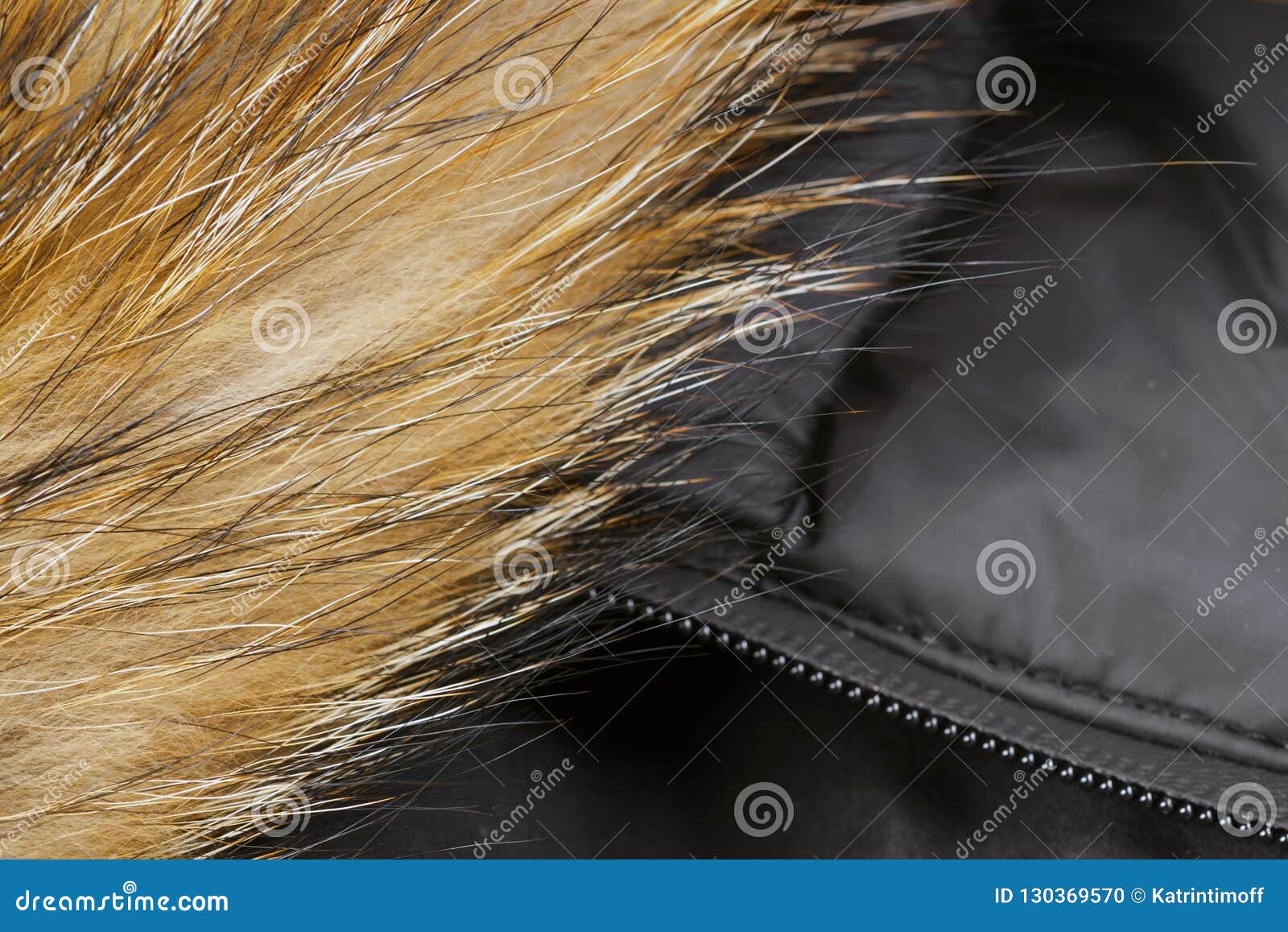 Fur and Zipper on the Black Background Stock Photo - Image of color ...