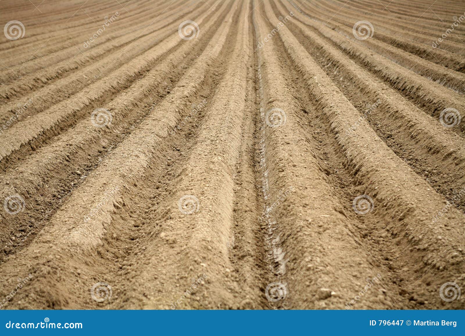 Furchen stockbild. Bild von horizont, nahrung, bearbeitung - 796447