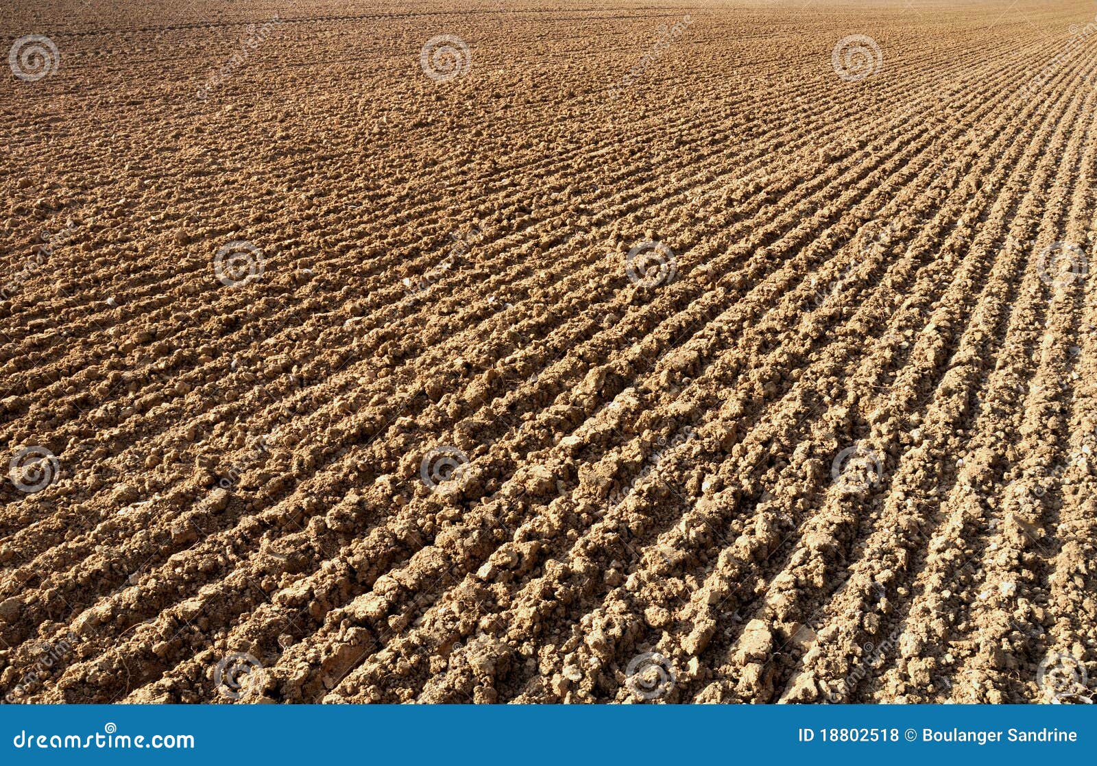 Furchen auf einem Gebiet stockfoto. Bild von pflügen - 18802518