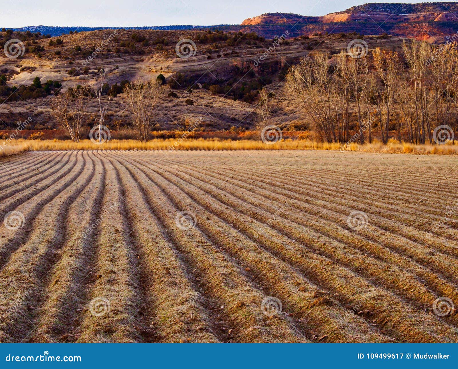 Furchen Und Berge Im Spätwinter Stockbild - Bild von sonnenaufgang ...