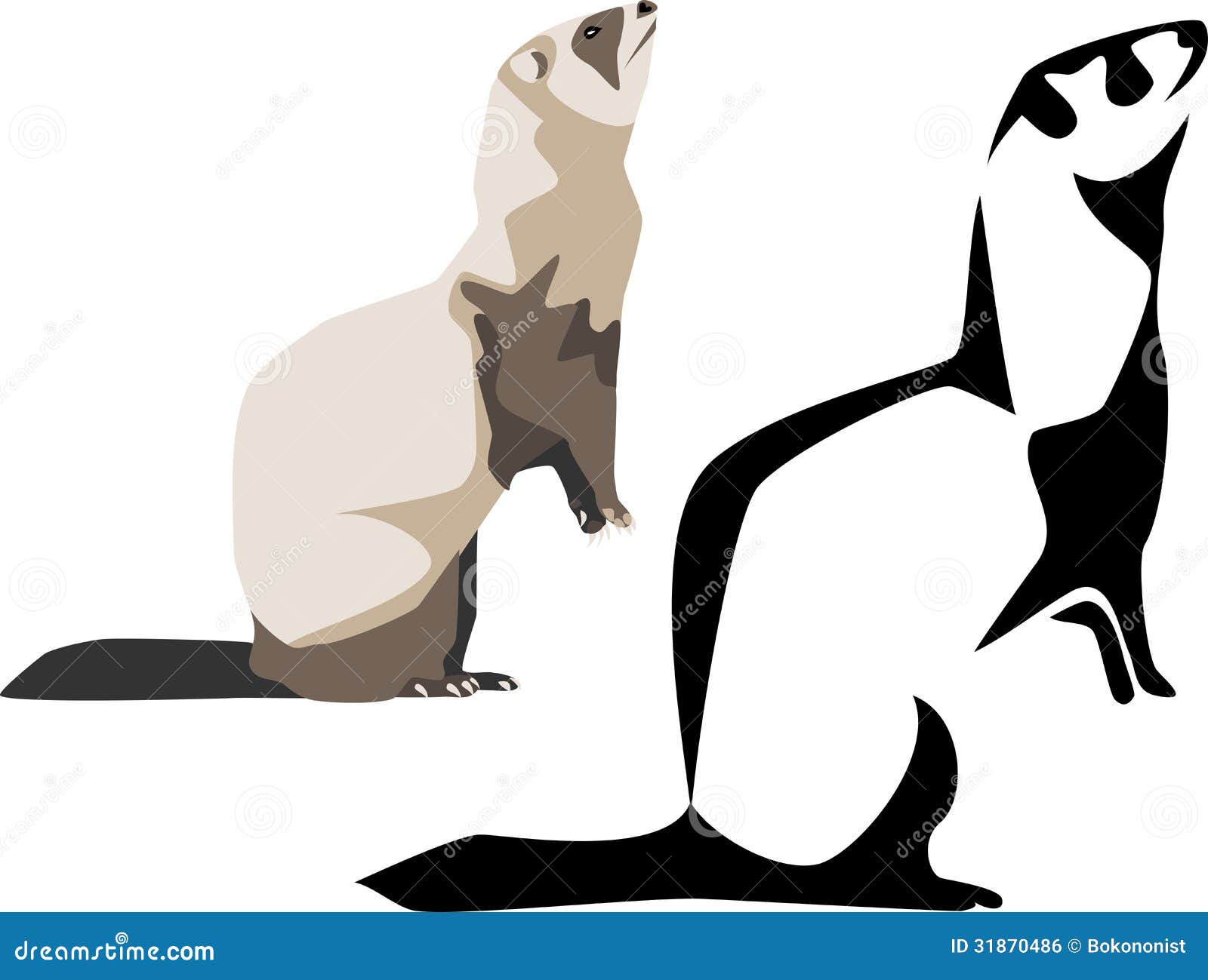 Furetto illustrazione vettoriale. Illustrazione di mammifero - 31870486