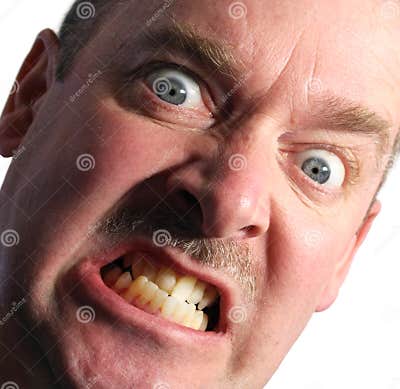 Furious stock photo. Image of fury, exasperation, frenzy - 594370
