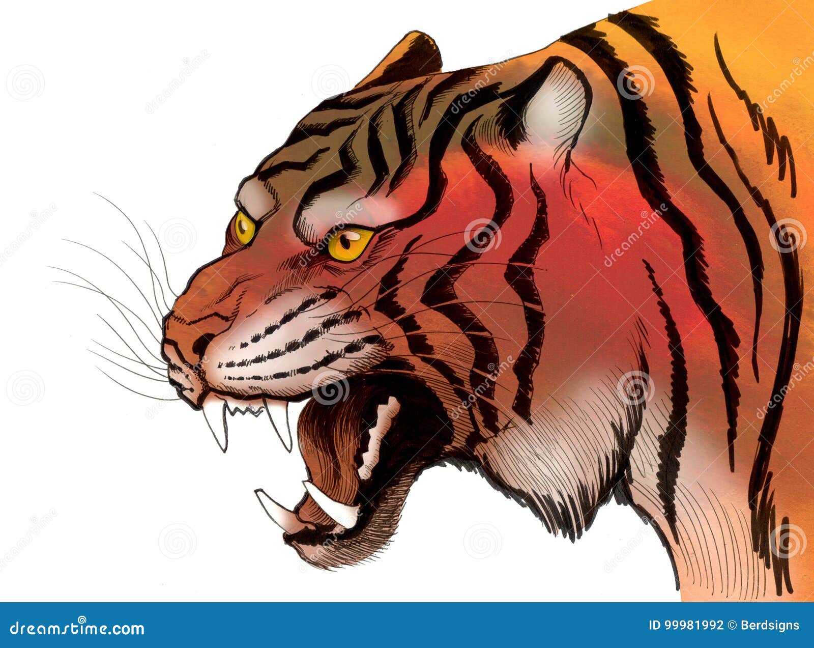 Furious tiger stock illustration. Illustration of painting - 99981992