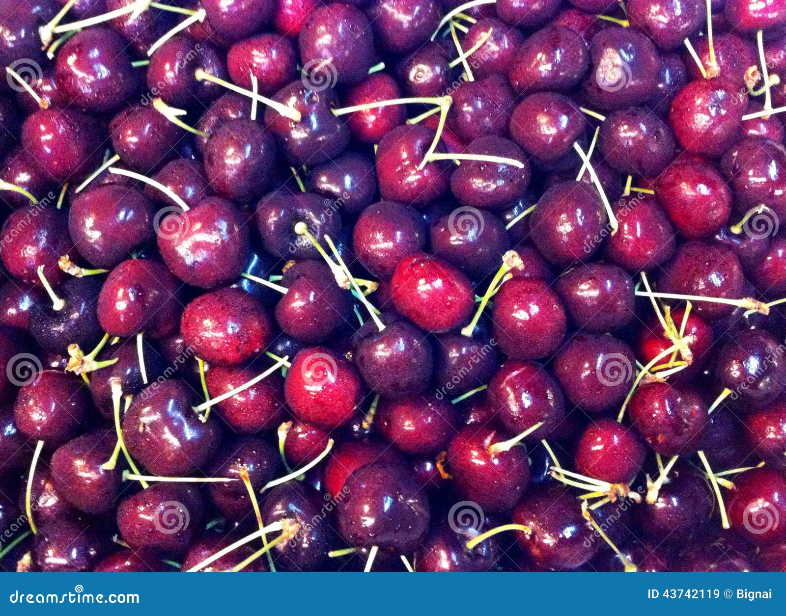 Furit stock image. Image of market, selling, furit, cherry - 43742119