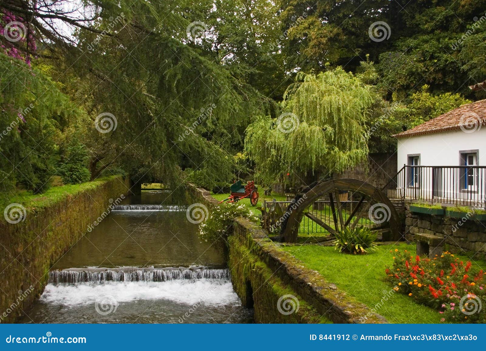 Furnas, Azores stock photo. Image of valley, park, green - 8441912