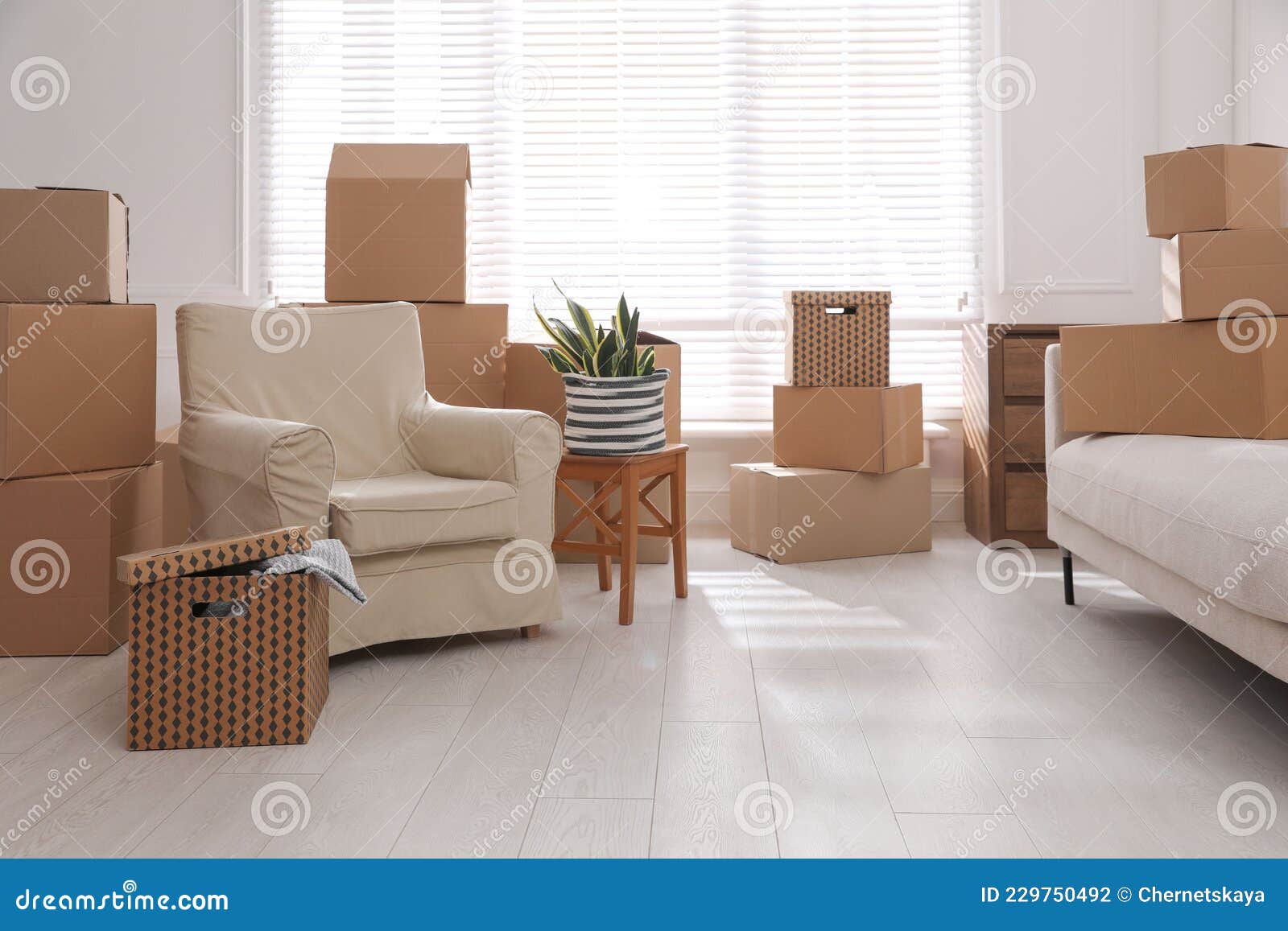 Furniture and Cardboard Boxes with Packed Stuff in Room. Moving Day ...