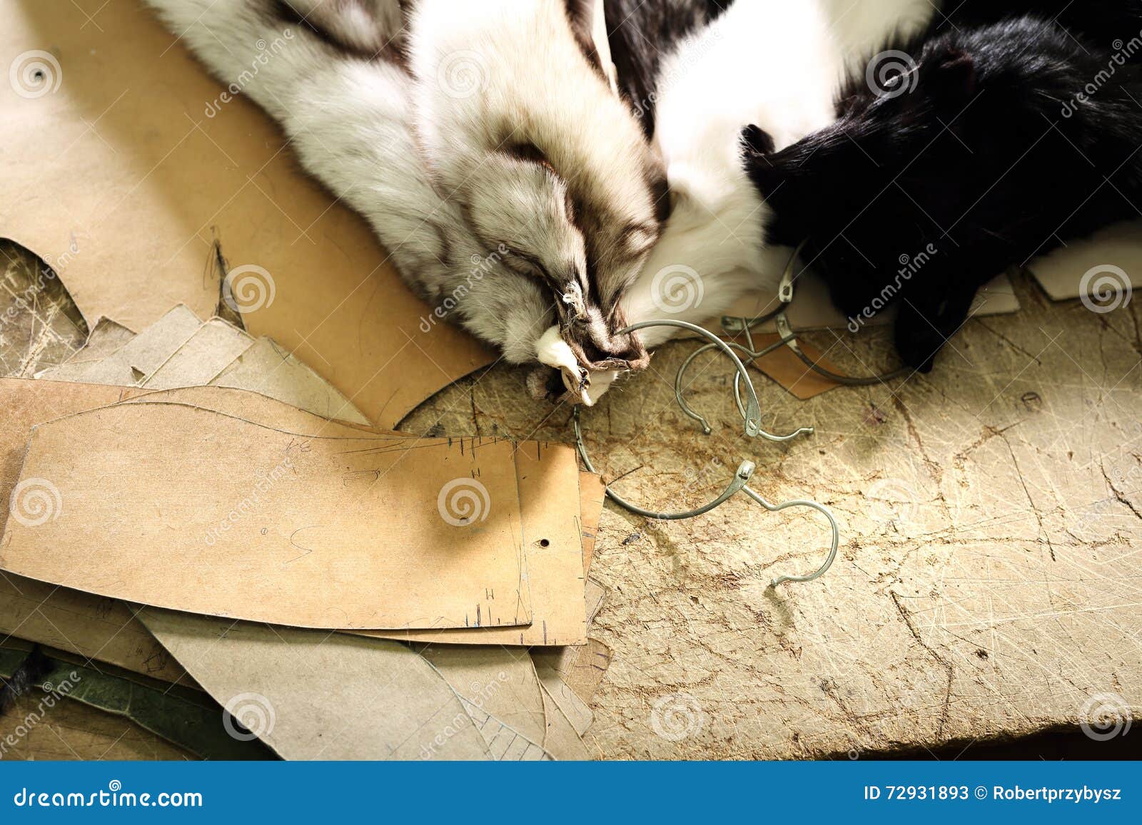 Furrier stock image. Image of furrier, manufacture, workshop - 72931893