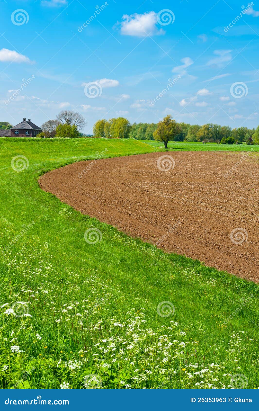 Furrow stock image. Image of earth, green, dutch, europe - 26353963