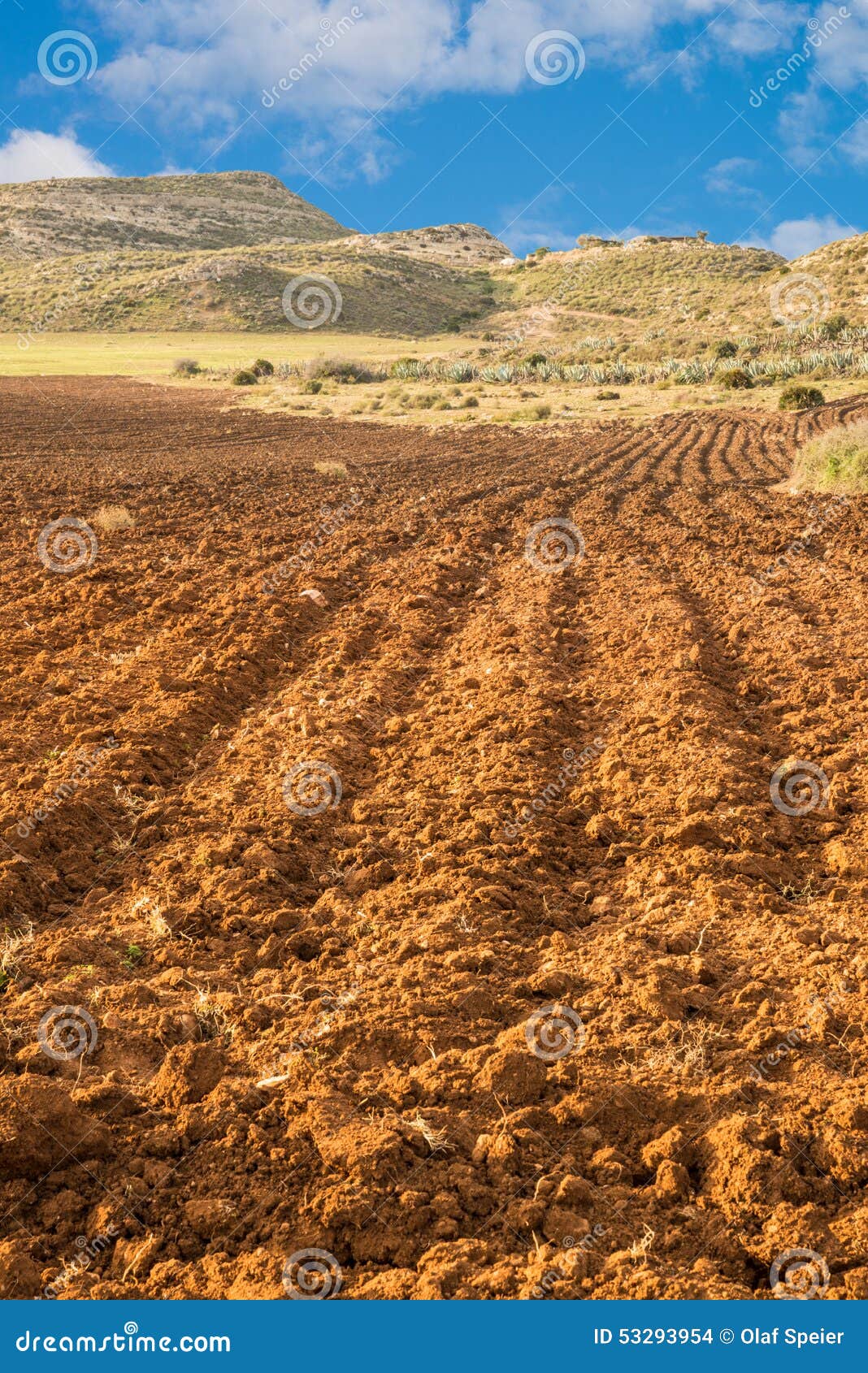 Furrowed farmland stock photo. Image of landscape, sunny - 53293954