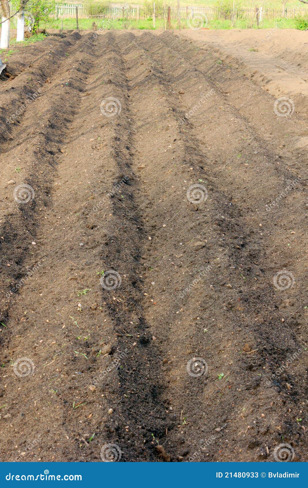Furrows stock image. Image of land, kitchen, plowed, site - 21480933