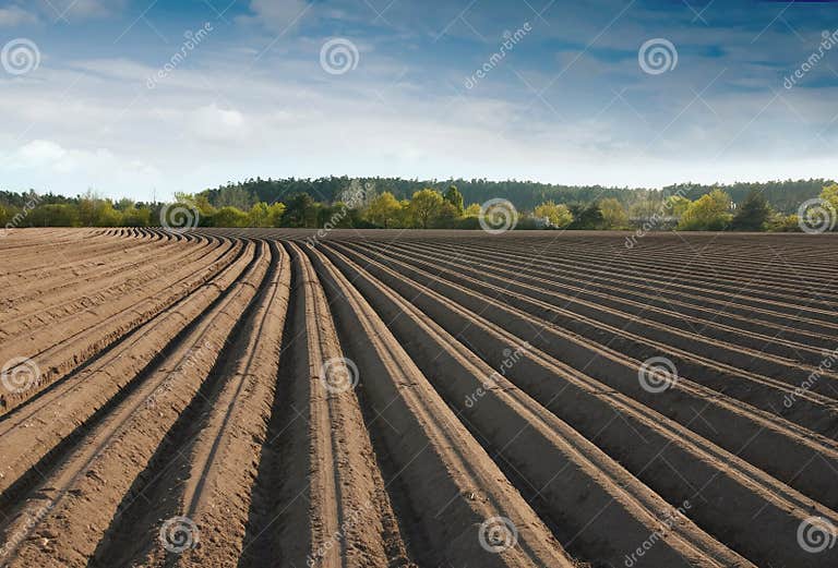 Furrows stock image. Image of country, land, countryside - 2633273