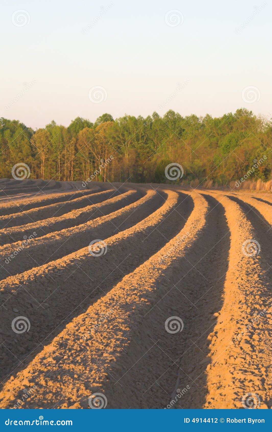 Furrows stock photo. Image of country, farming, season - 4914412