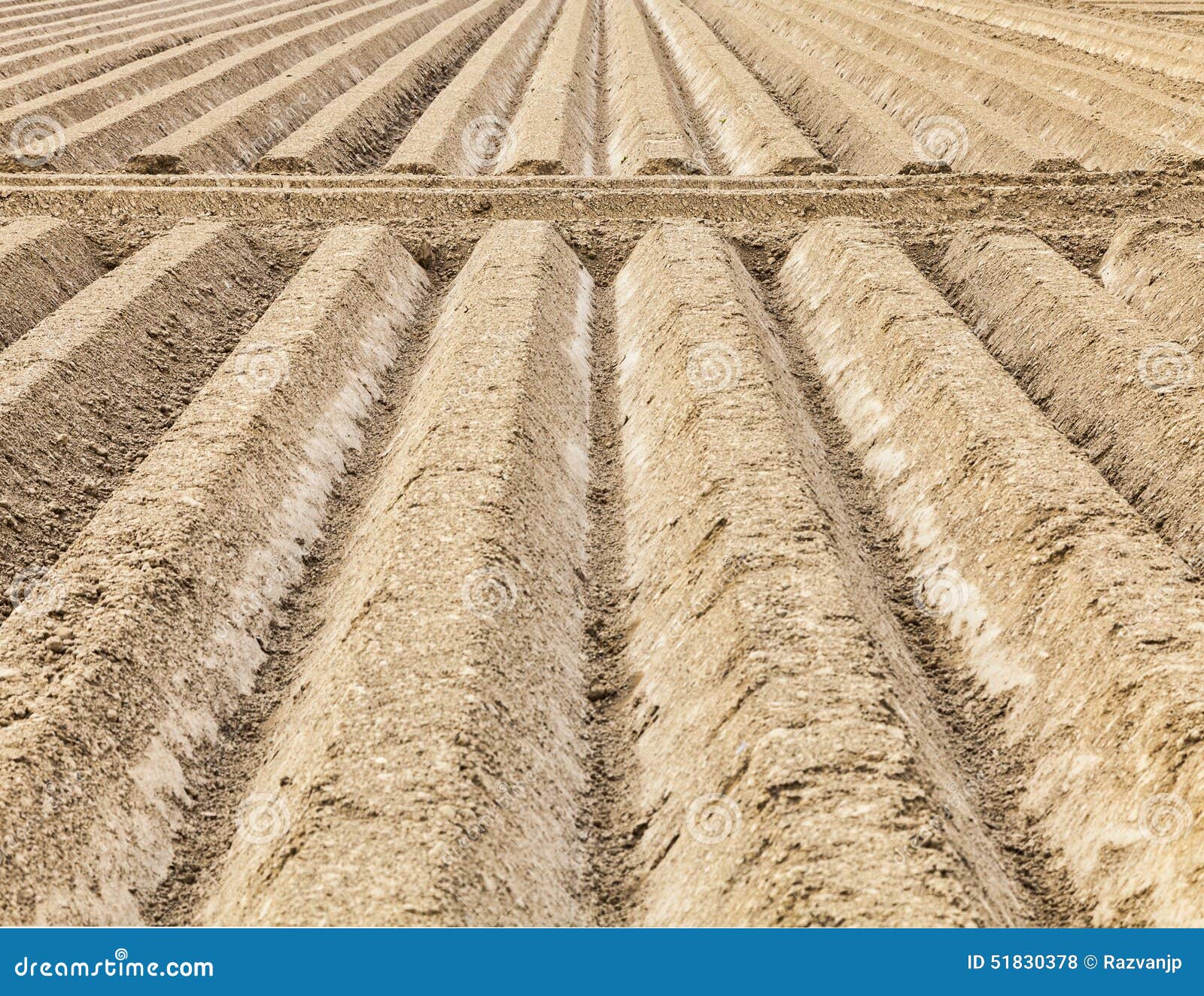 Furrows Abstract stock photo. Image of fertile, furrow - 51830378