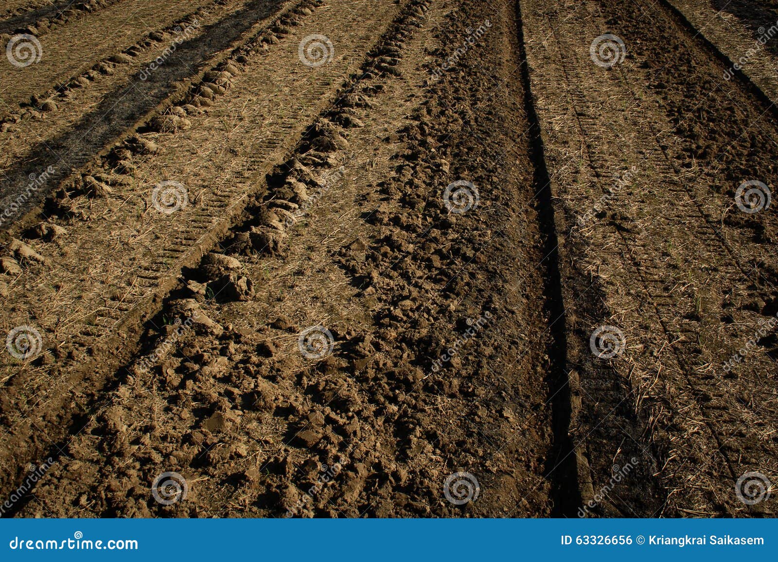 Furrows Brown Soil Stock Photos - Download 565 Royalty Free Photos