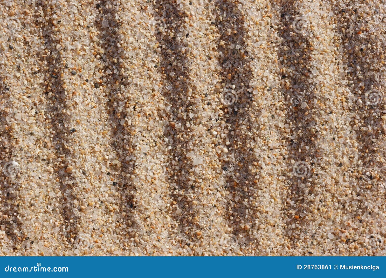 Furrows on coarse sand. stock image. Image of furrow - 28763861