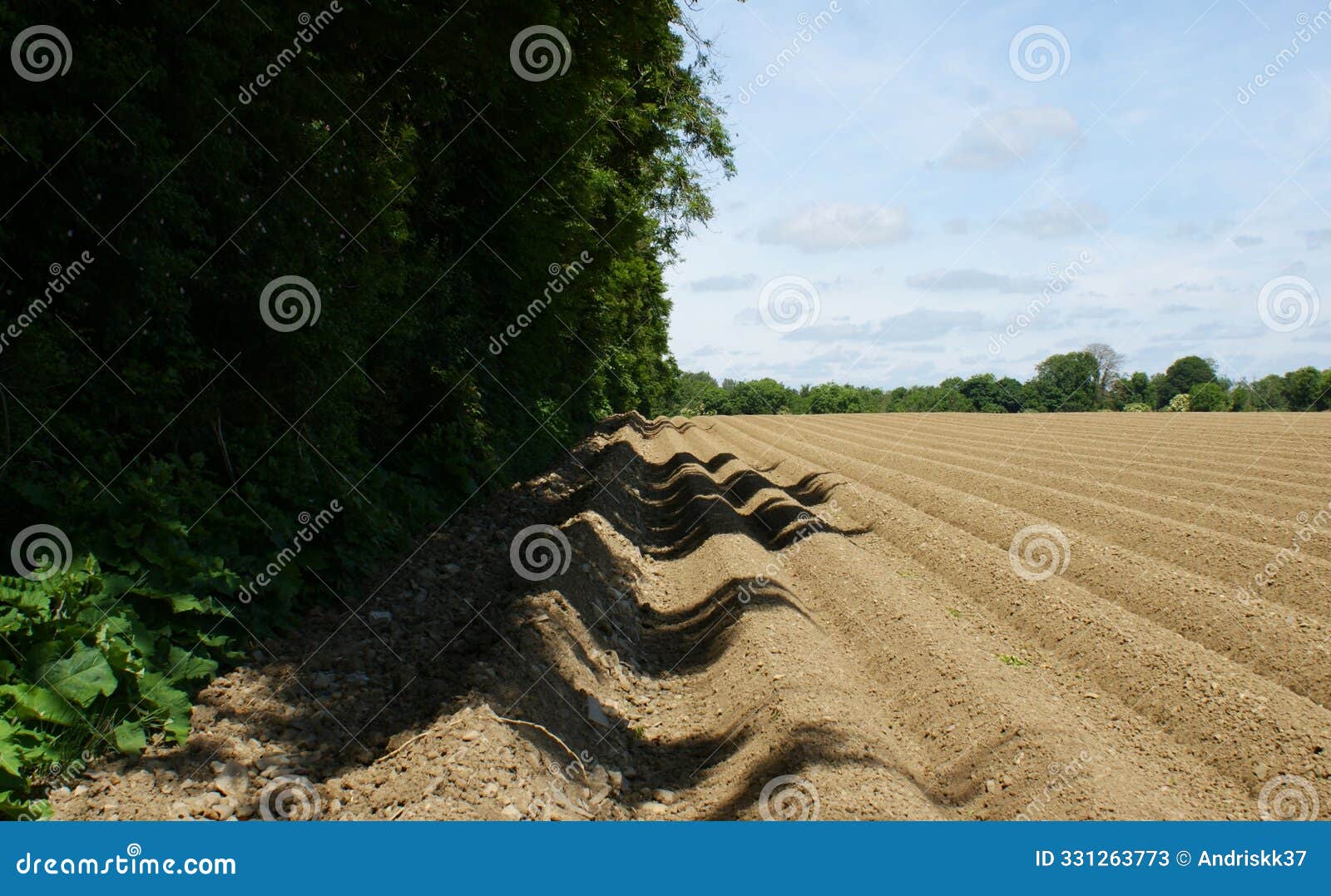 Furrows in a Field Agriculture, Soil Stock Image - Image of green ...