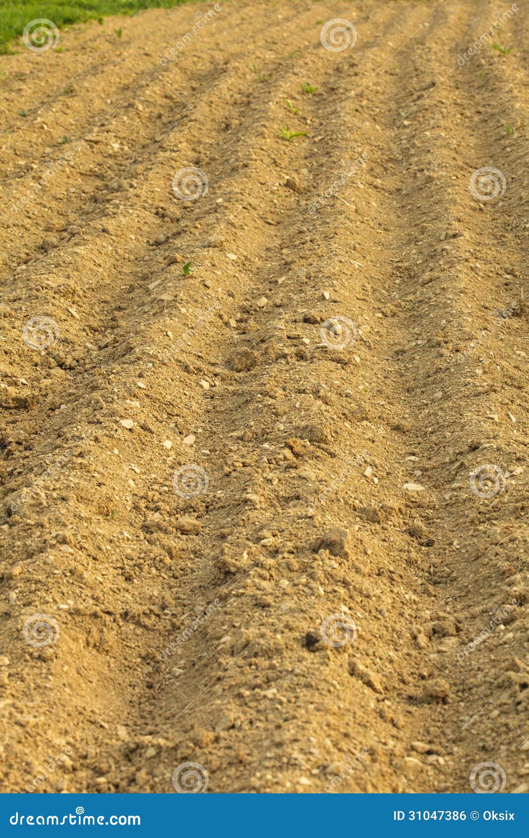 Furrows on the field stock photo. Image of dirt, crop - 31047386