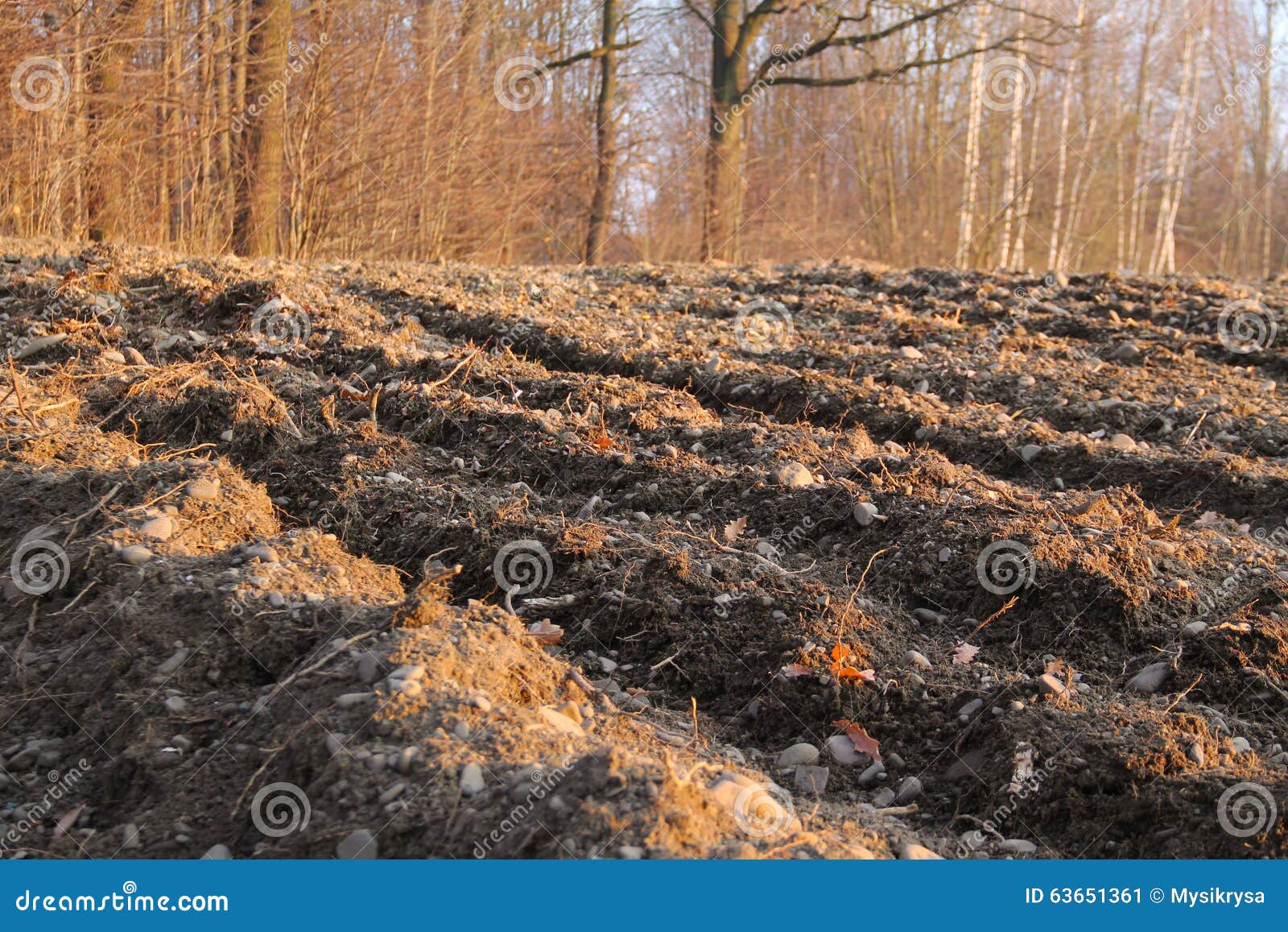 Furrows on the field stock image. Image of farming, furrows - 63651361