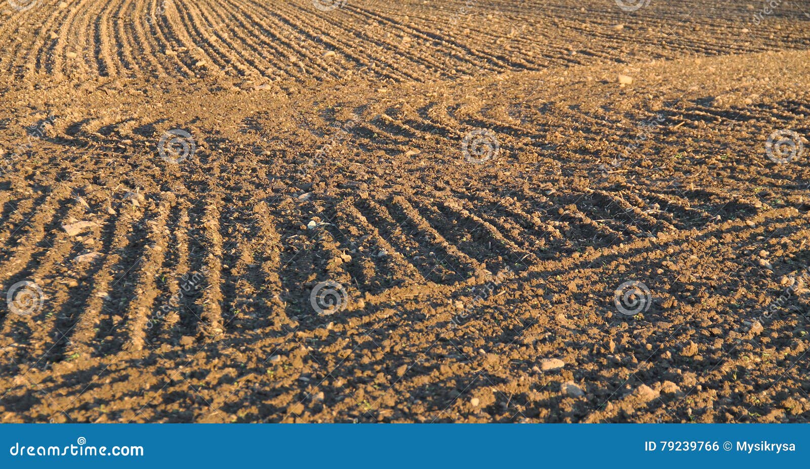 Furrows on the field stock photo. Image of farm, brown - 79239766