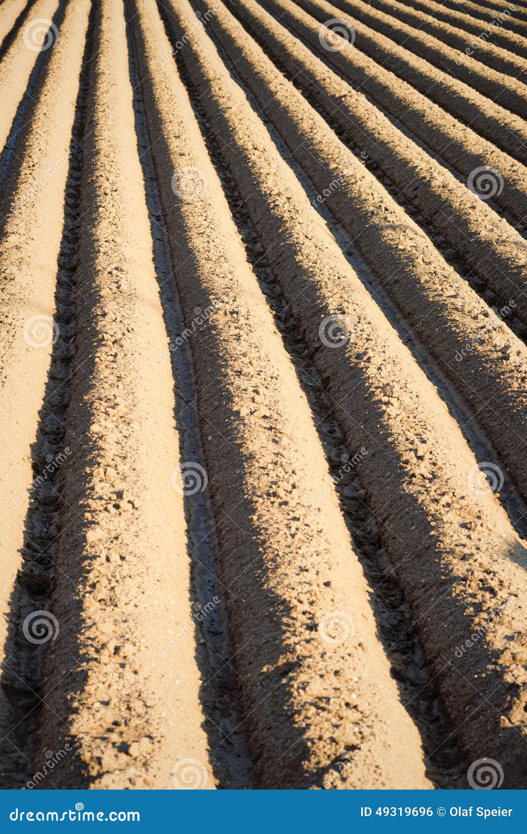 Furrows stock photo. Image of vertical, ploughed, brown - 49319696