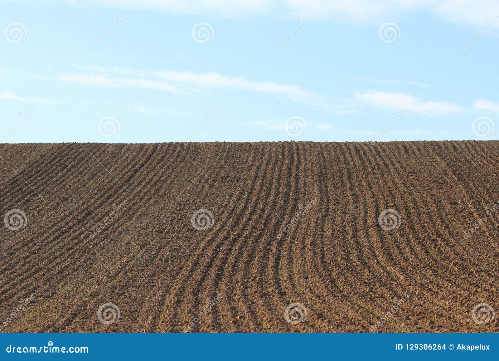 Furrows Row Pattern in a Plowed Field Prepared for Planting Crops in ...