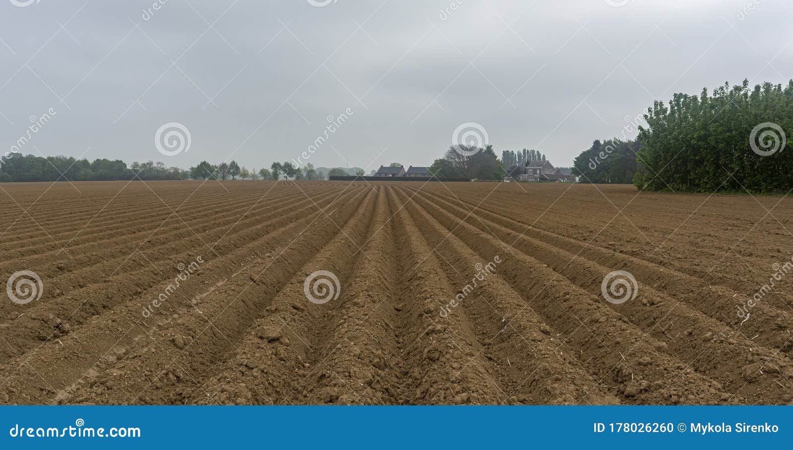 Furrows Row Pattern in a Plowed Field Prepared for Planting Crops in ...