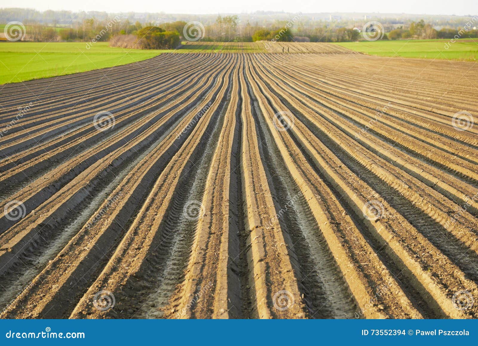 Furrows Row Pattern in a Plowed Field Prepared for Planting. Stock ...