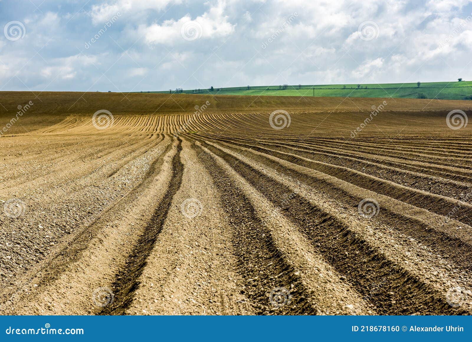 Furrows Rows in a Plowed Field Prepared for Planting Potatoes Crops in ...