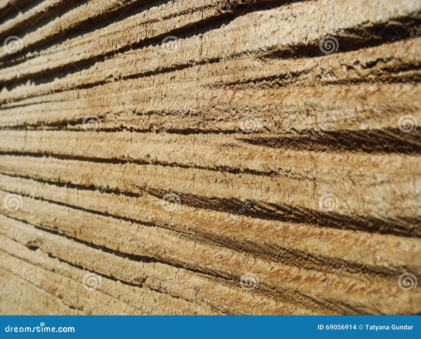 Furrows Texture in the Tree. Stock Photo - Image of wood, natural: 69056914