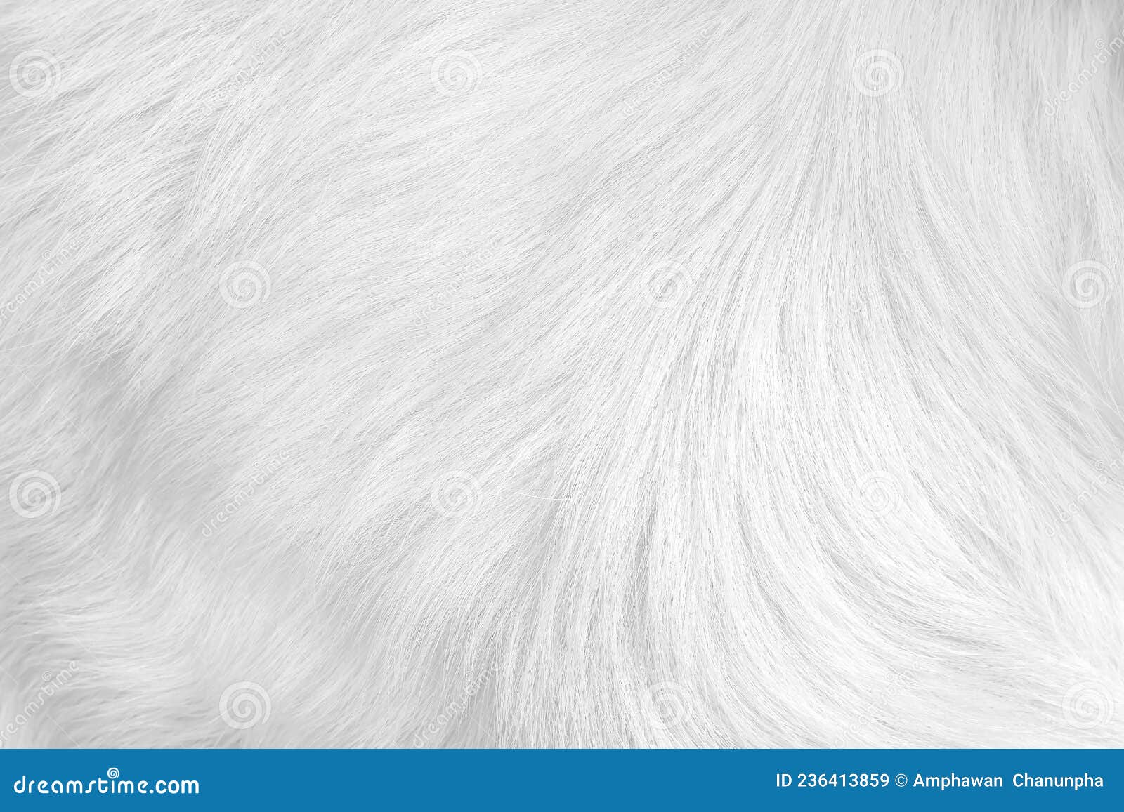 Furry Cat Patterns with Soft Texture for White Grey Smooth Background ...