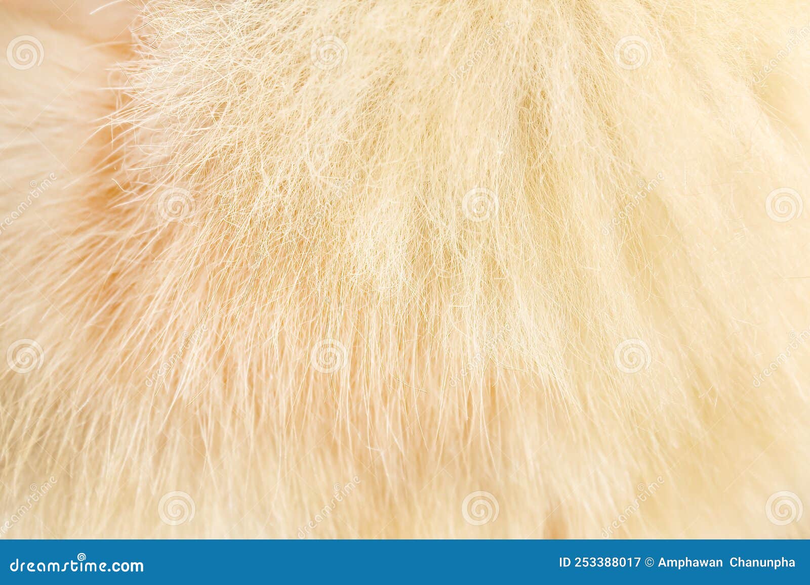 Smooth Furry Texture Royalty-Free Illustration | CartoonDealer.com ...