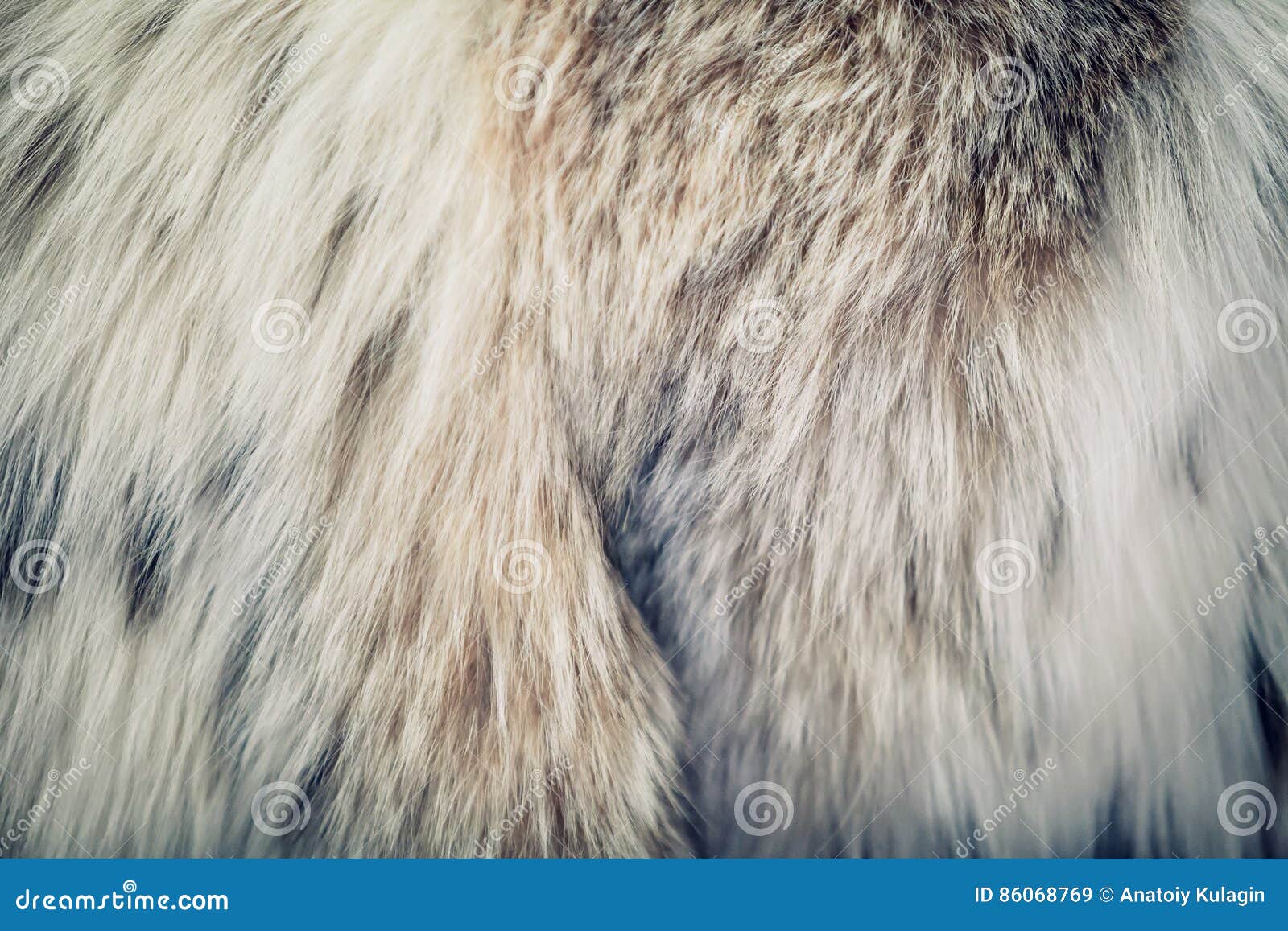 Furs texture stock image. Image of bomond, expensive - 86068769