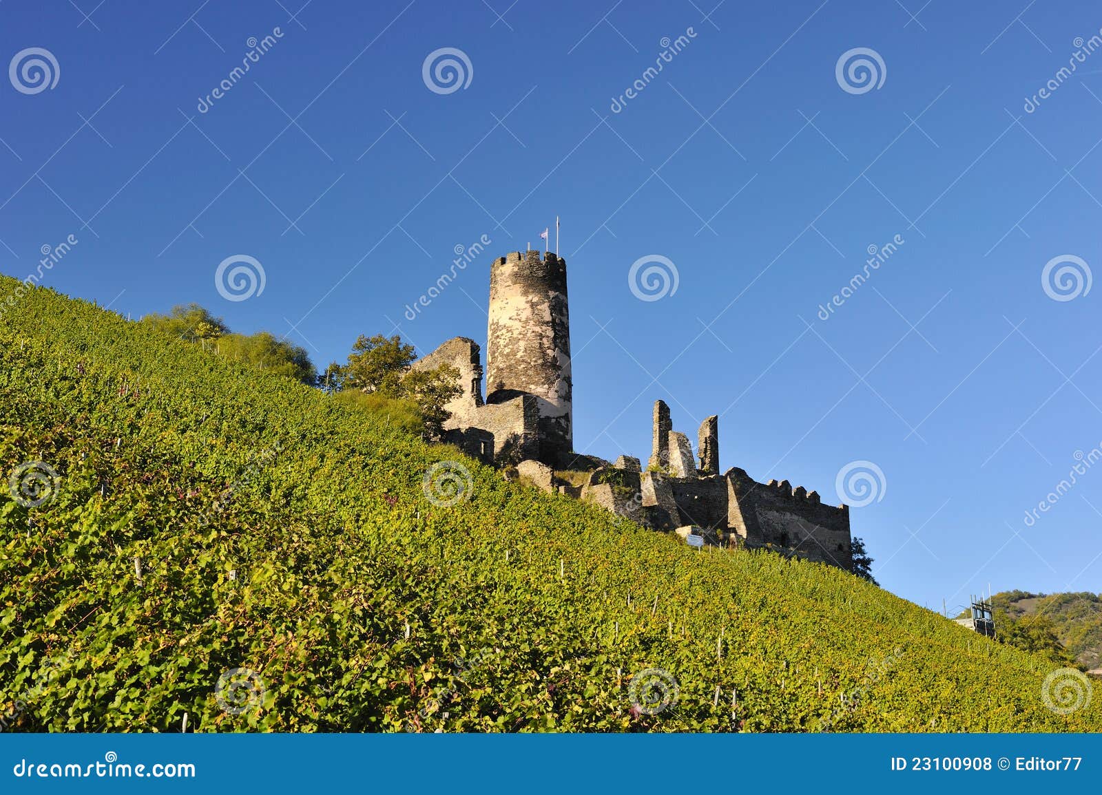 Furstenberg Ruin Castle in Germany Stock Photo - Image of field, tower ...