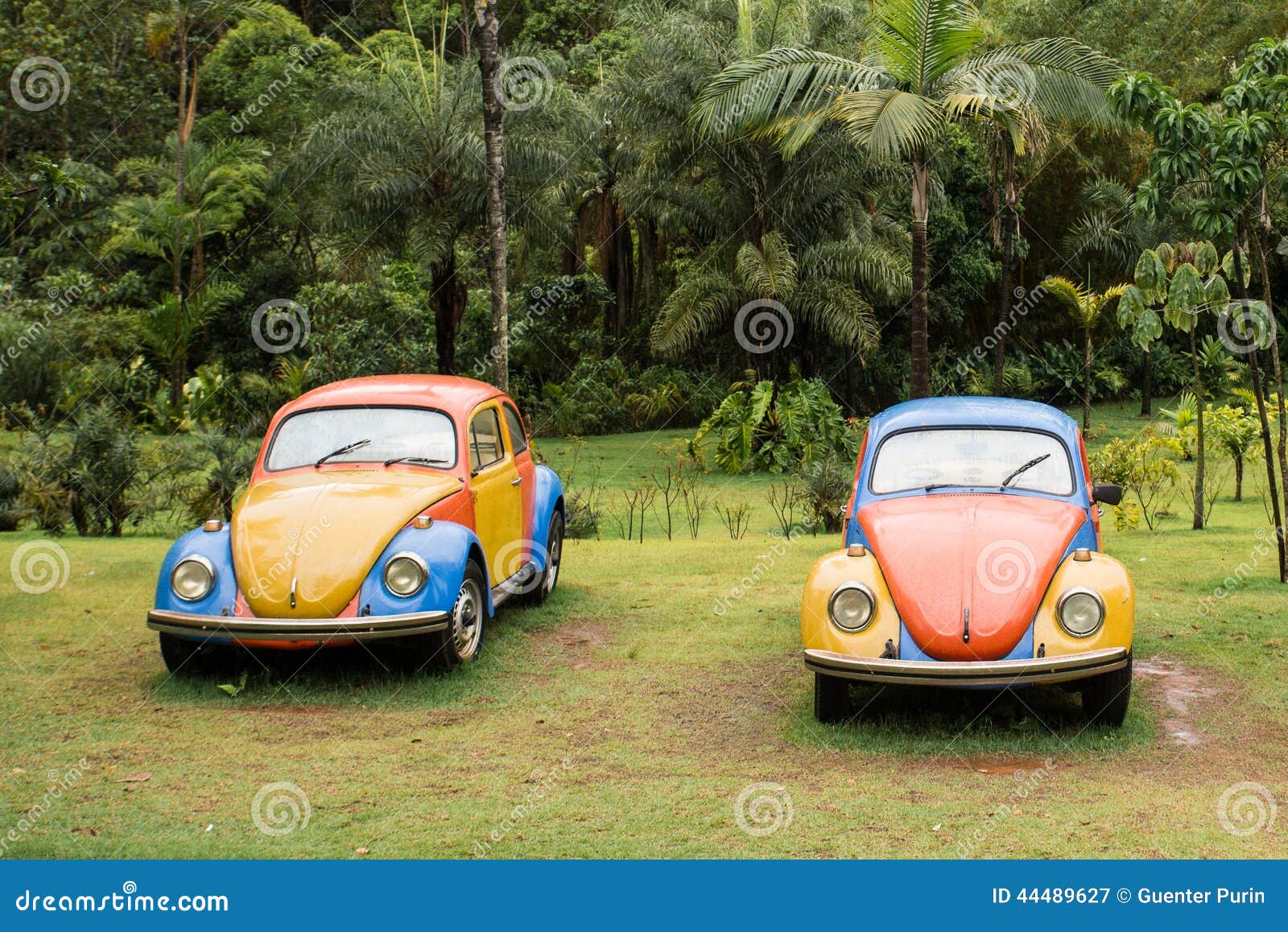 Fusca stock image. Image of fuska, palm, street, editorial - 44489627