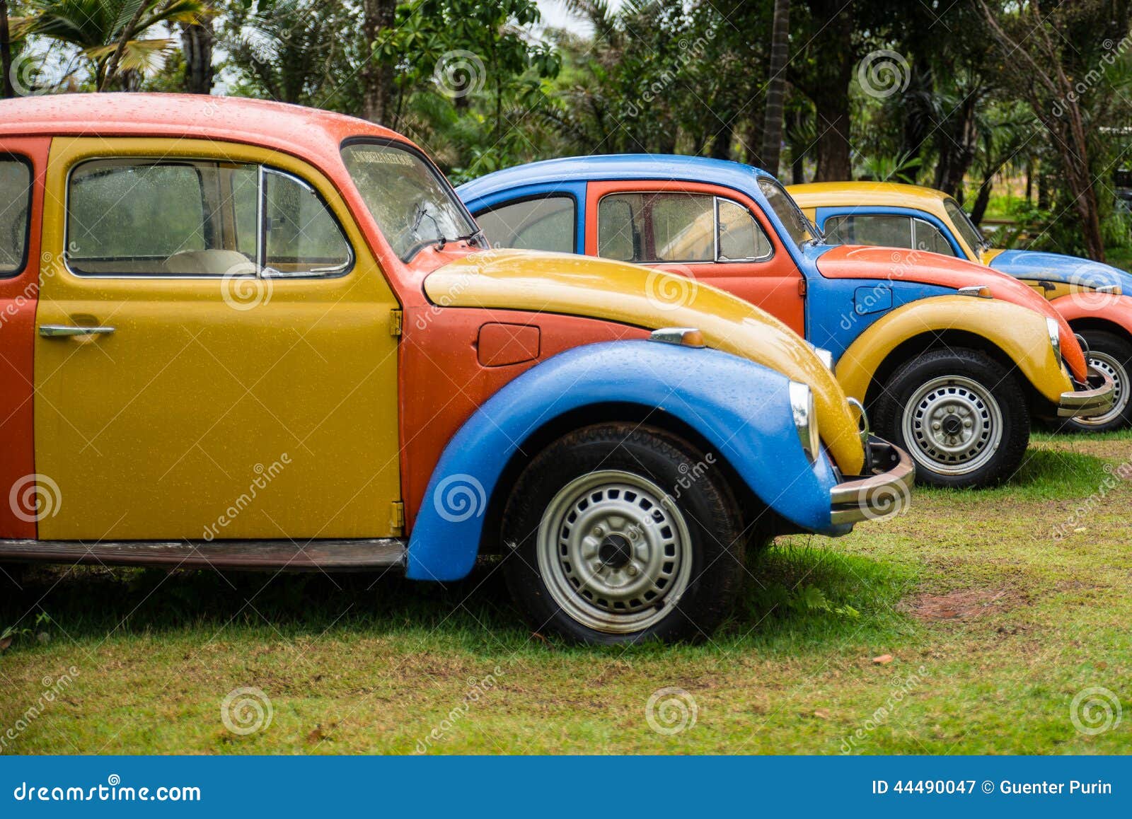 Fusca stock image. Image of outdoors, palm, janeiro, parked - 44490047