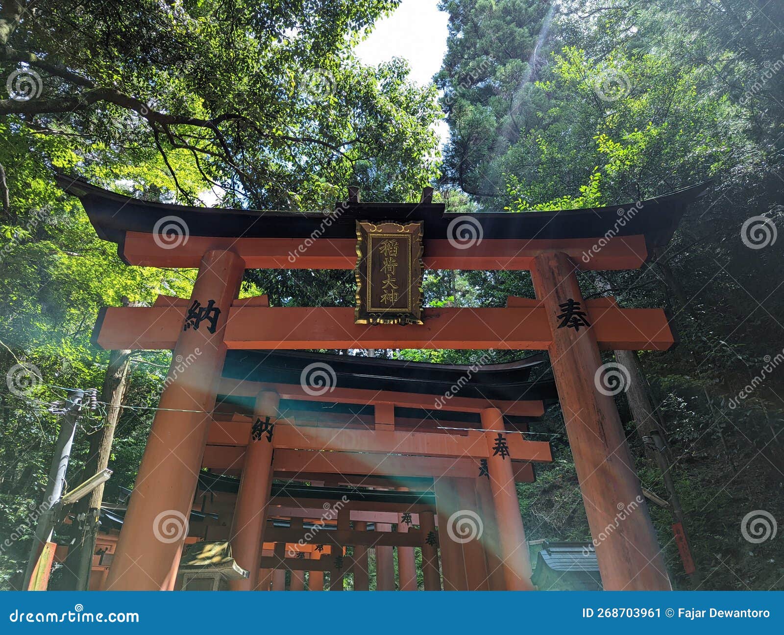 Fushimi Inari Gate in Top of Hill Stock Image - Image of park, wood ...