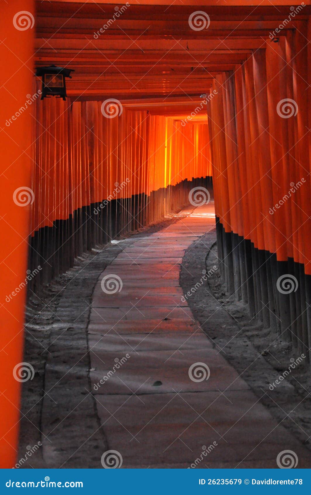 Fushimi Inari Torii Road stock image. Image of memories - 26235679