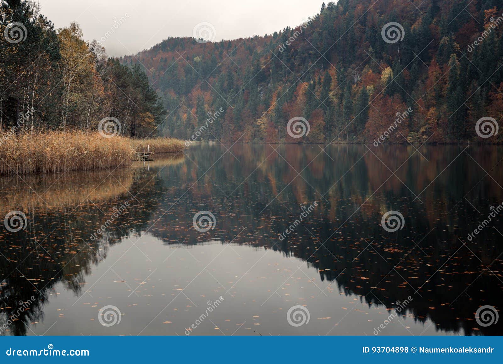 Fussen, Bavaria, Germany. Lake Schwansee Stock Photo - Image of nature ...