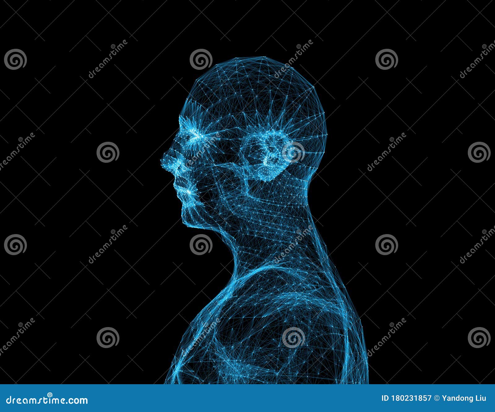 Future Human Technology, Human Body Wireframe Graphics, Network Data ...