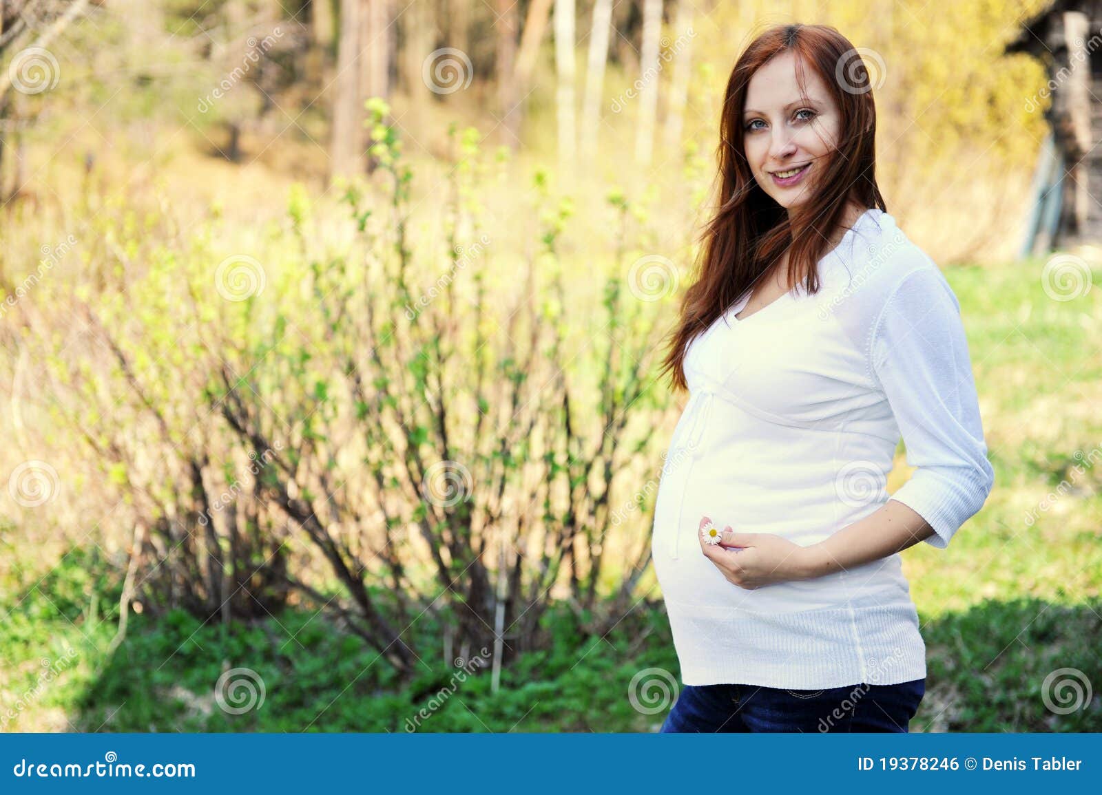 Future mom stock photo. Image of forest, maternity, foliage - 19378246