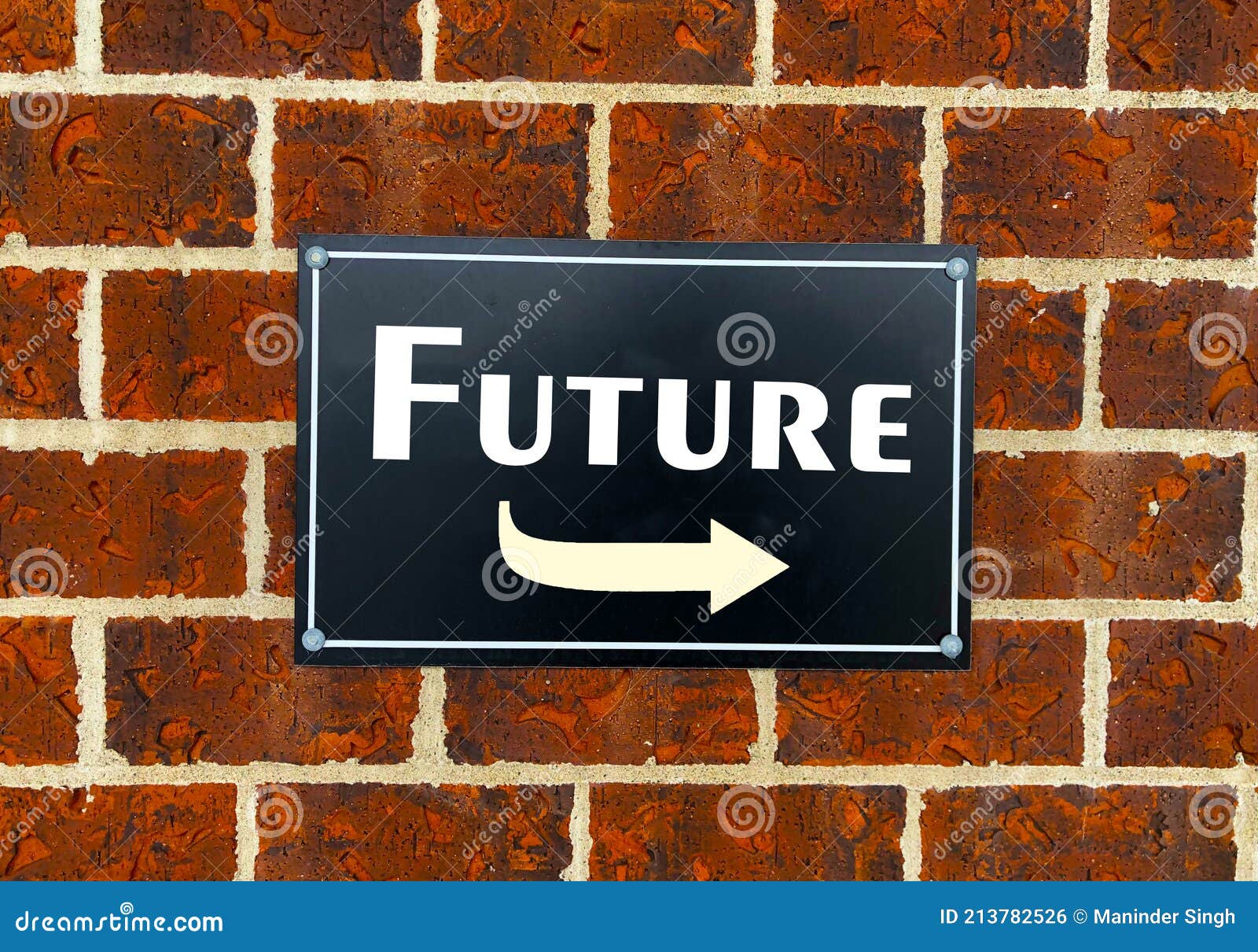 Future sign. stock photo. Image of canada, dream, mounted - 213782526