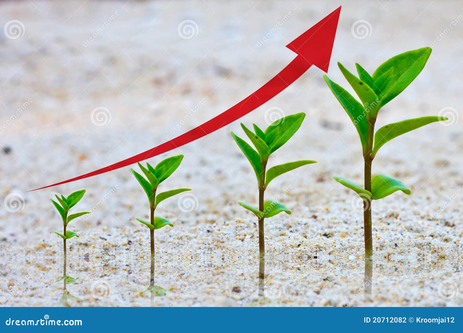 Future tree stock photo. Image of lawn, clear, land, future - 20712082