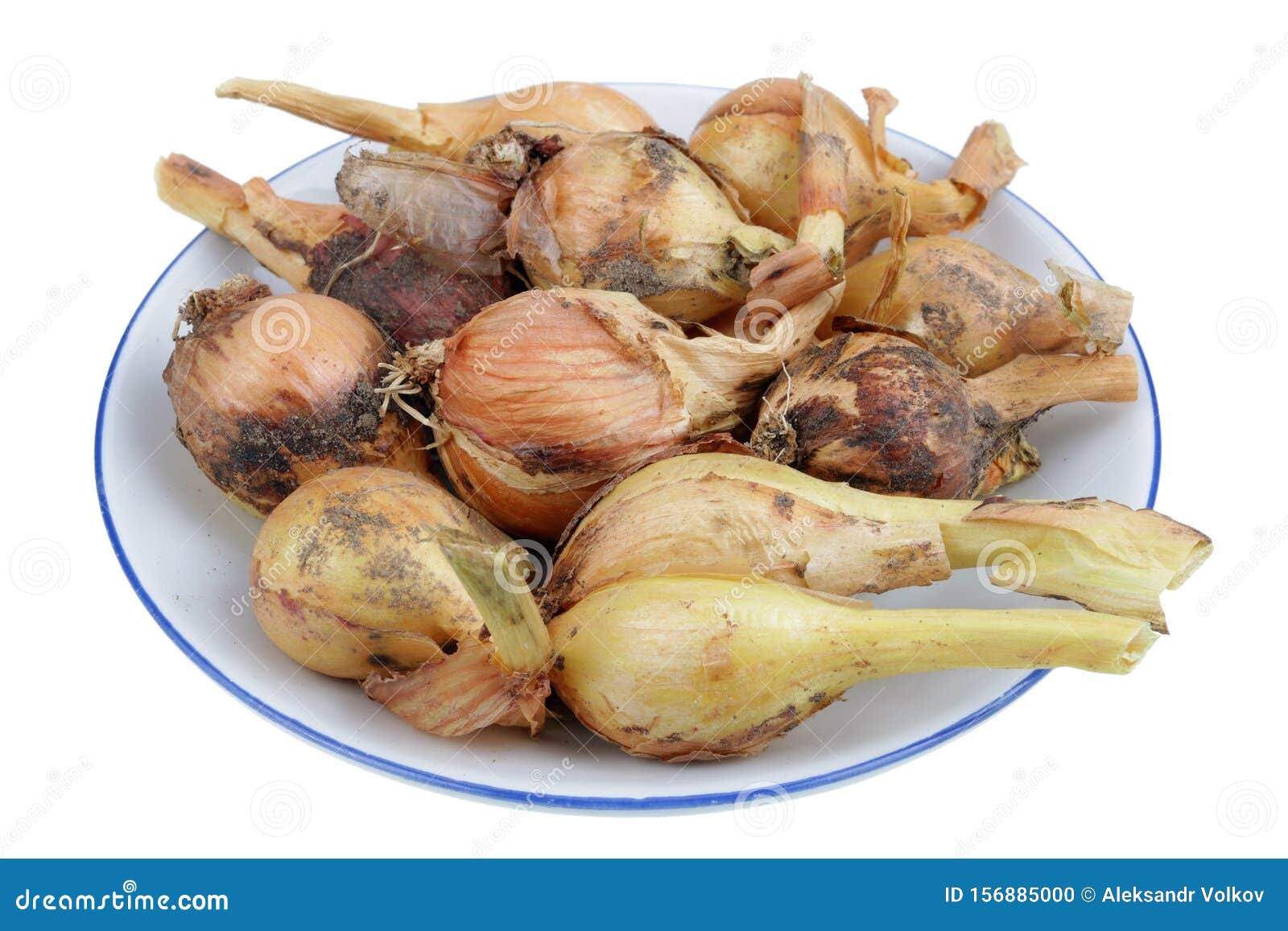 In the Future we Will Eat this Concept - Rotten Bad Onion Bulbs on a ...