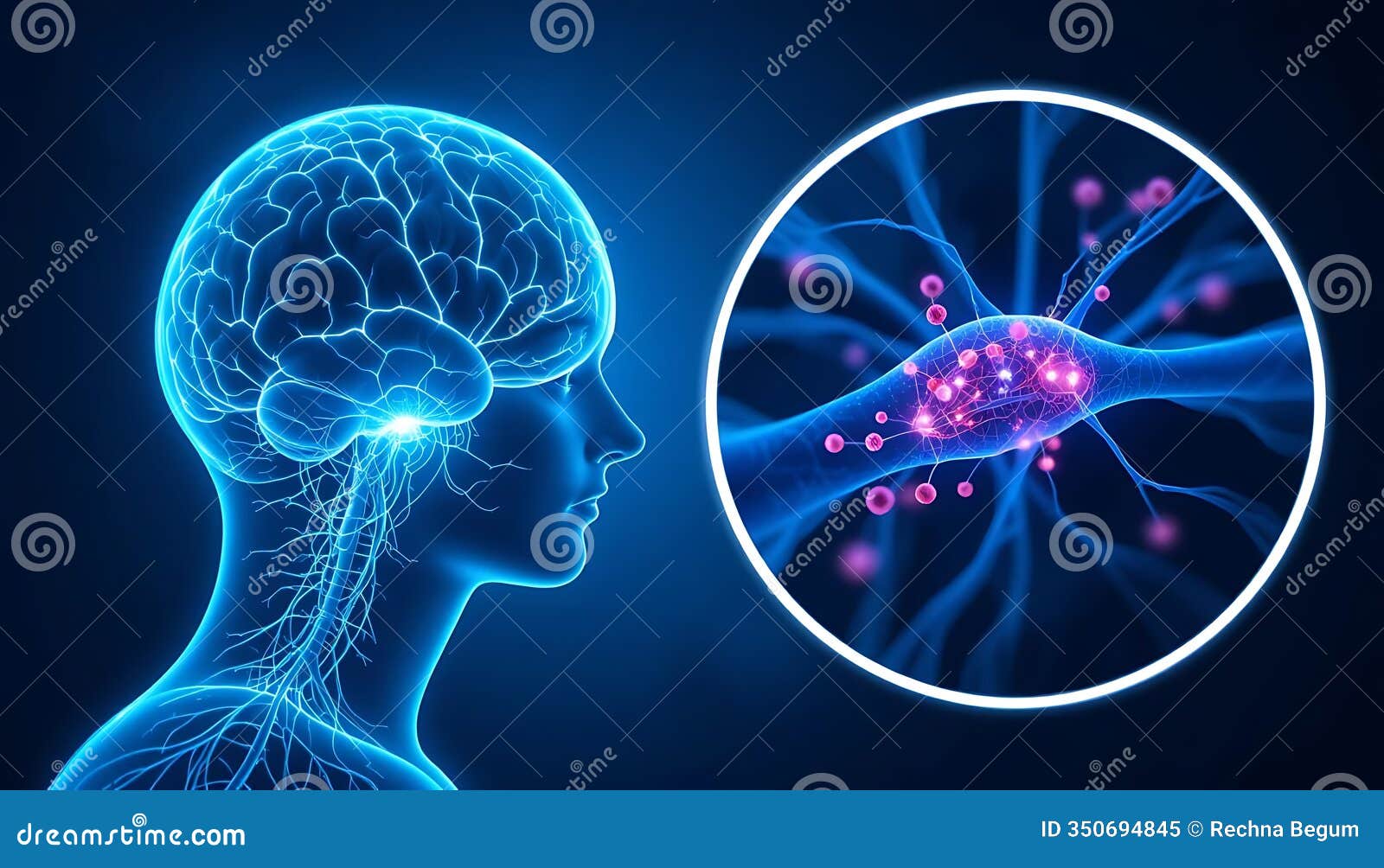Futuristic Brain and Neural Network Concept - Human Brain Activity and ...