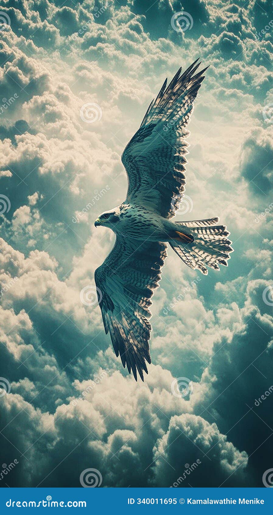 Futuristic Falcon Flying through a Sky of Digital Clouds Stock ...
