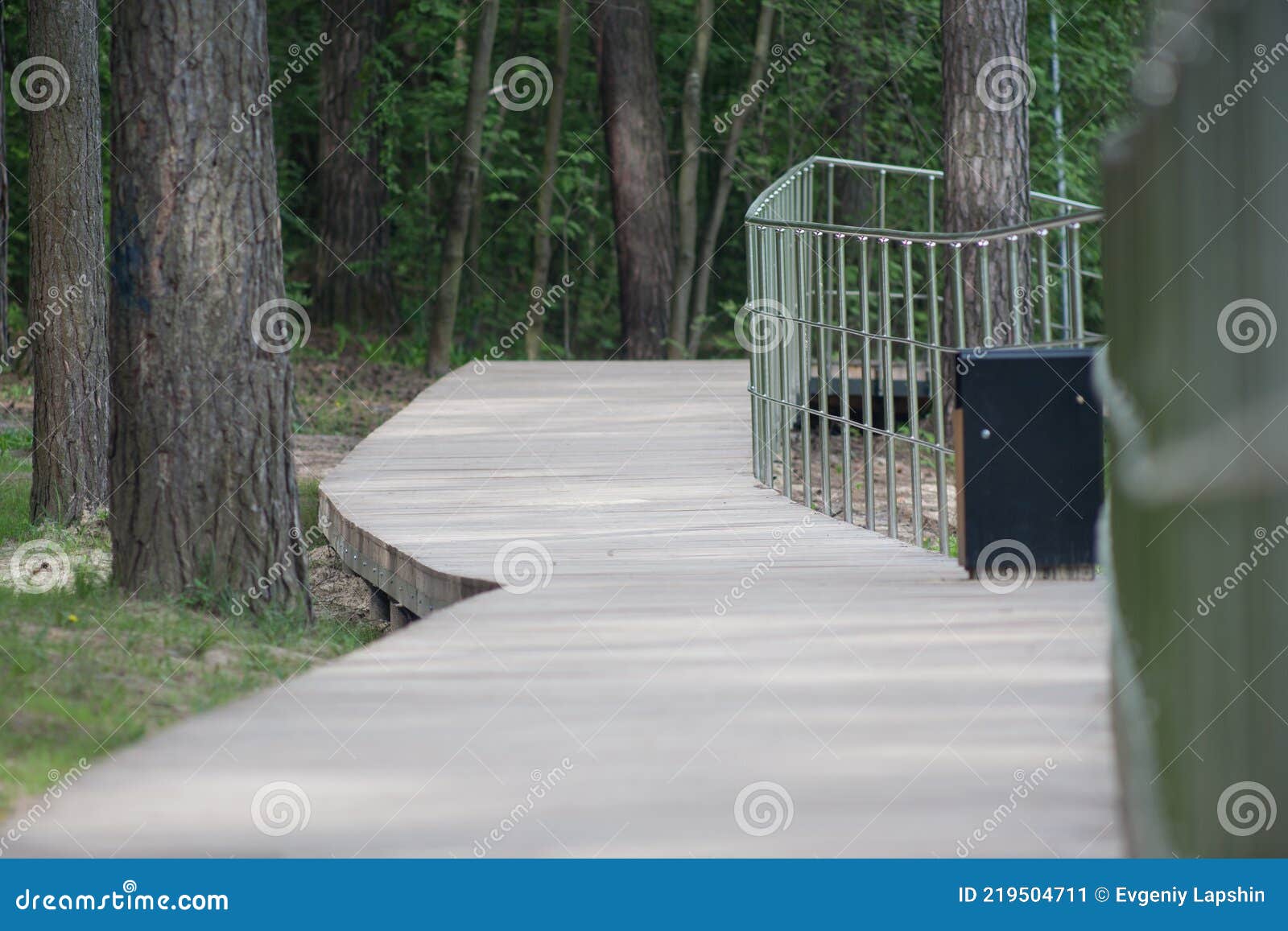 Futuristic Park Path, Park Path, Forest Path, Walking Paths with ...