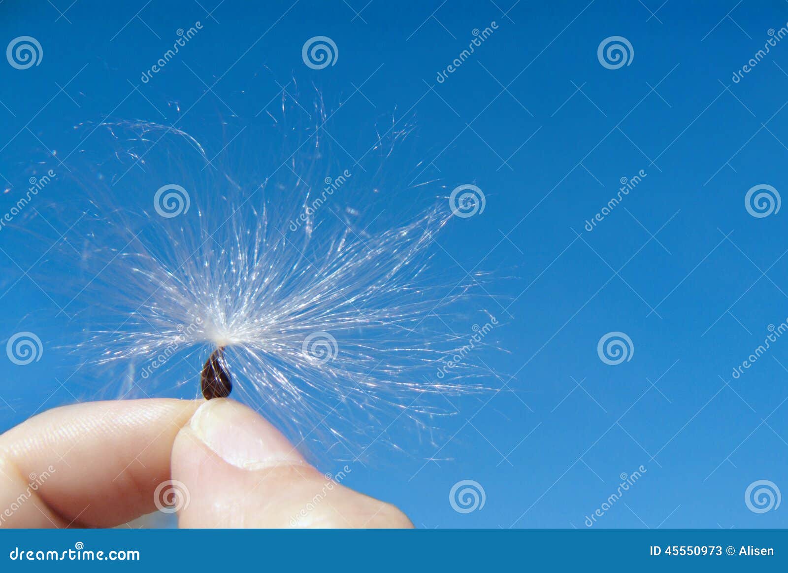 Fuzz stock image. Image of nature, fuzz, imponderable - 45550973