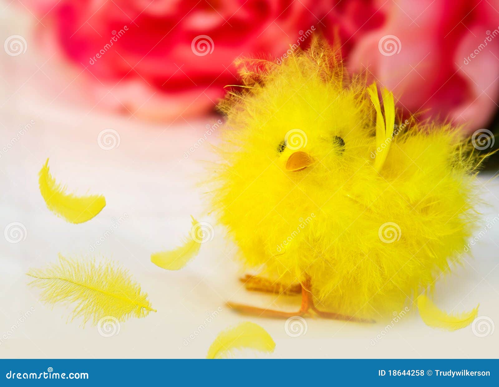 Fuzzy Chick stock photo. Image of fuzzy, small, animal - 18644258