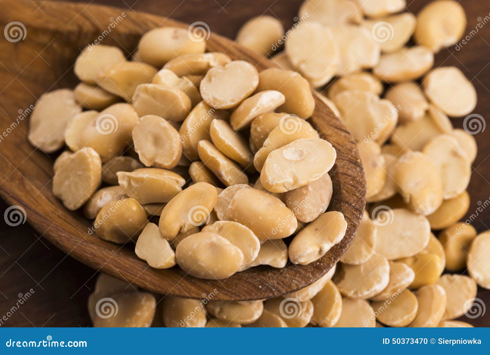 Fève Sèche Photo stock - Image: 50373470