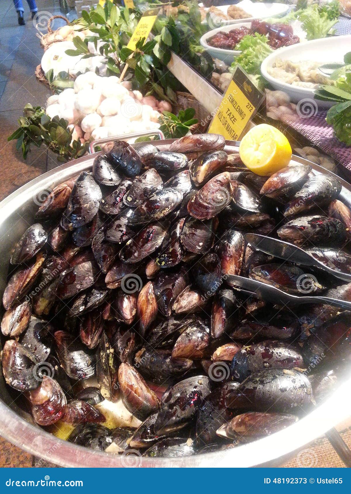 Fylld mussla fotografering för bildbyråer. Bild av skaldjur - 48192373